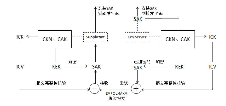 MKA密钥协商 | hongruizhu
